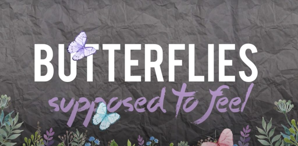 Butterflies - ProMo Cymru